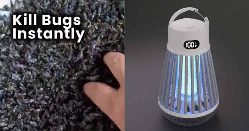 THIS DAD ZAPPED 10,000 MOSQUITOES OVERNIGHT USING THIS SIMPLE TRICK